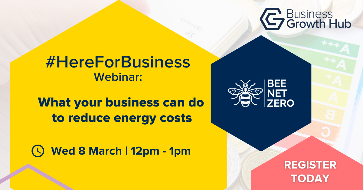 Bee Net Zero | Webinar: What your business can do to reduce energy costs Bee Net Zero | Webinar: What your business can do to reduce energy costs