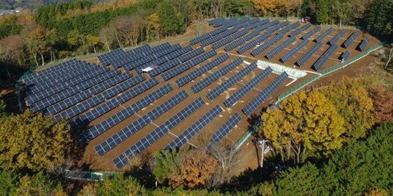 Bee Net Zero | The journey to becoming Net Zero